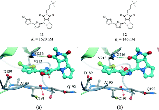 A systematic analysis of atomic protein–ligand interactions in the PDB ...