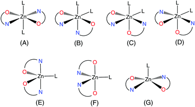 Vanadium and zinc complexes of 5-cyanopicolinate and pyrazine ...