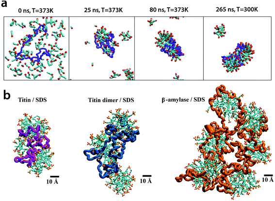 SDS-assisted protein transport through solid-state nanopores ...