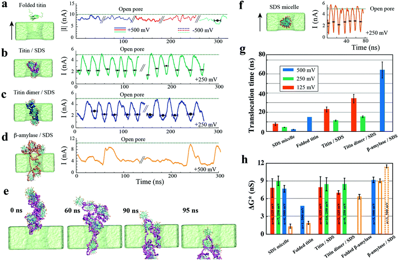 SDS-assisted protein transport through solid-state nanopores ...