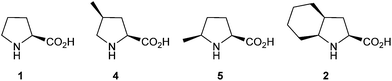 Construction of a polyproline structure with hydrophobic exterior using ...
