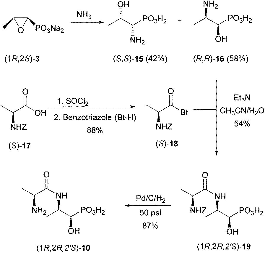 Towards the biodegradation pathway of fosfomycin - Organic ...