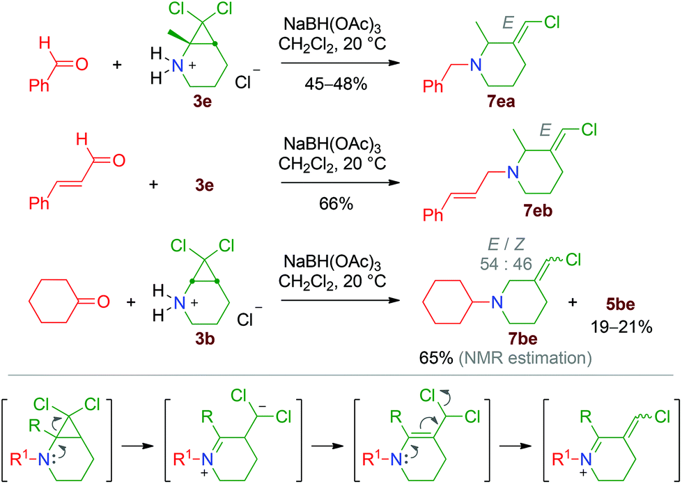 Synthesis of functionalised azepanes and piperidines from bicyclic ...