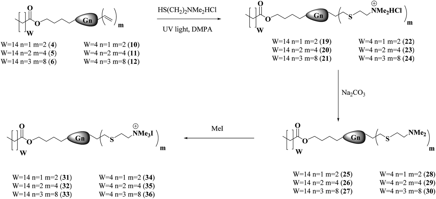 Amphiphilic carbosilane dendrons as a novel synthetic platform toward micelle formation ...