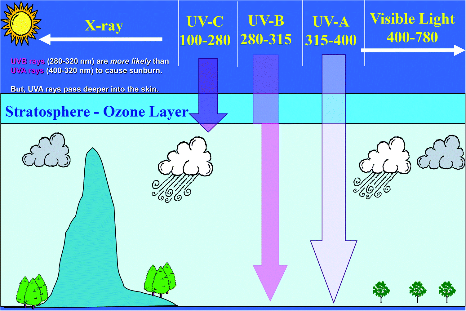 UVR: sun, lamps, pigmentation and vitamin D - Photochemical ...