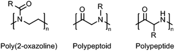 Thermoresponsive poly(2-oxazoline)s, polypeptoids, and polypeptides ...
