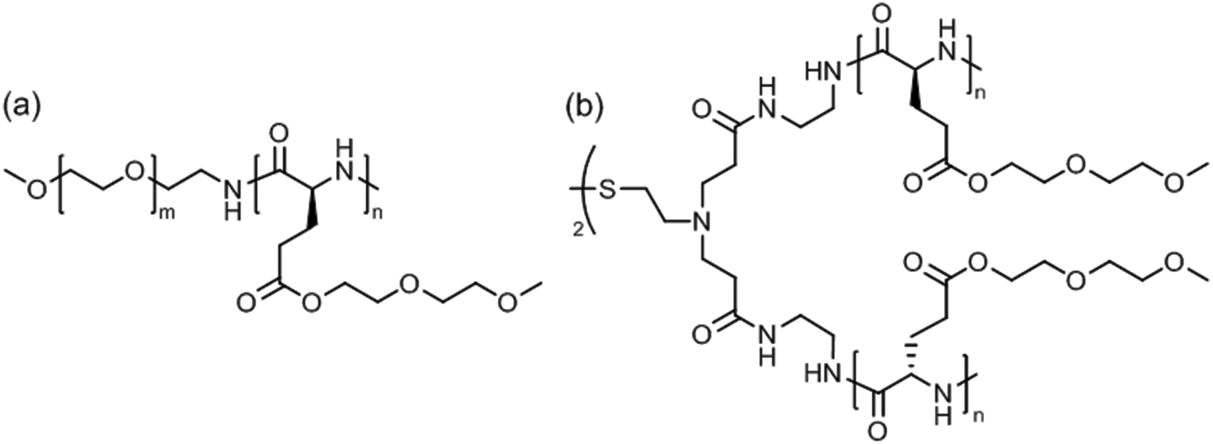 Thermoresponsive poly(2-oxazoline)s, polypeptoids, and polypeptides ...