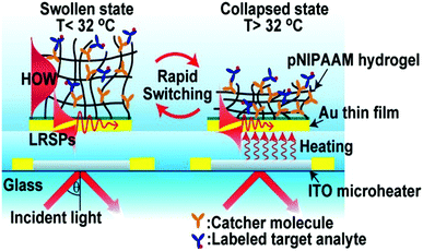 Stimuli-responsive polymers and their applications - Polymer Chemistry (RSC Publishing) DOI:10. ...