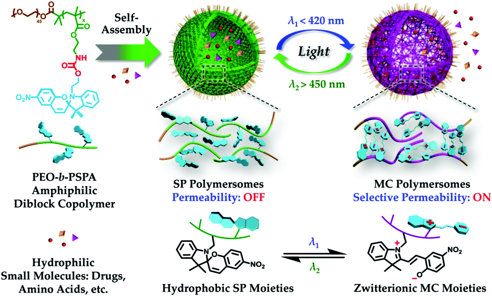 Stimuli-responsive polymers and their applications - Polymer Chemistry (RSC Publishing) DOI:10. ...