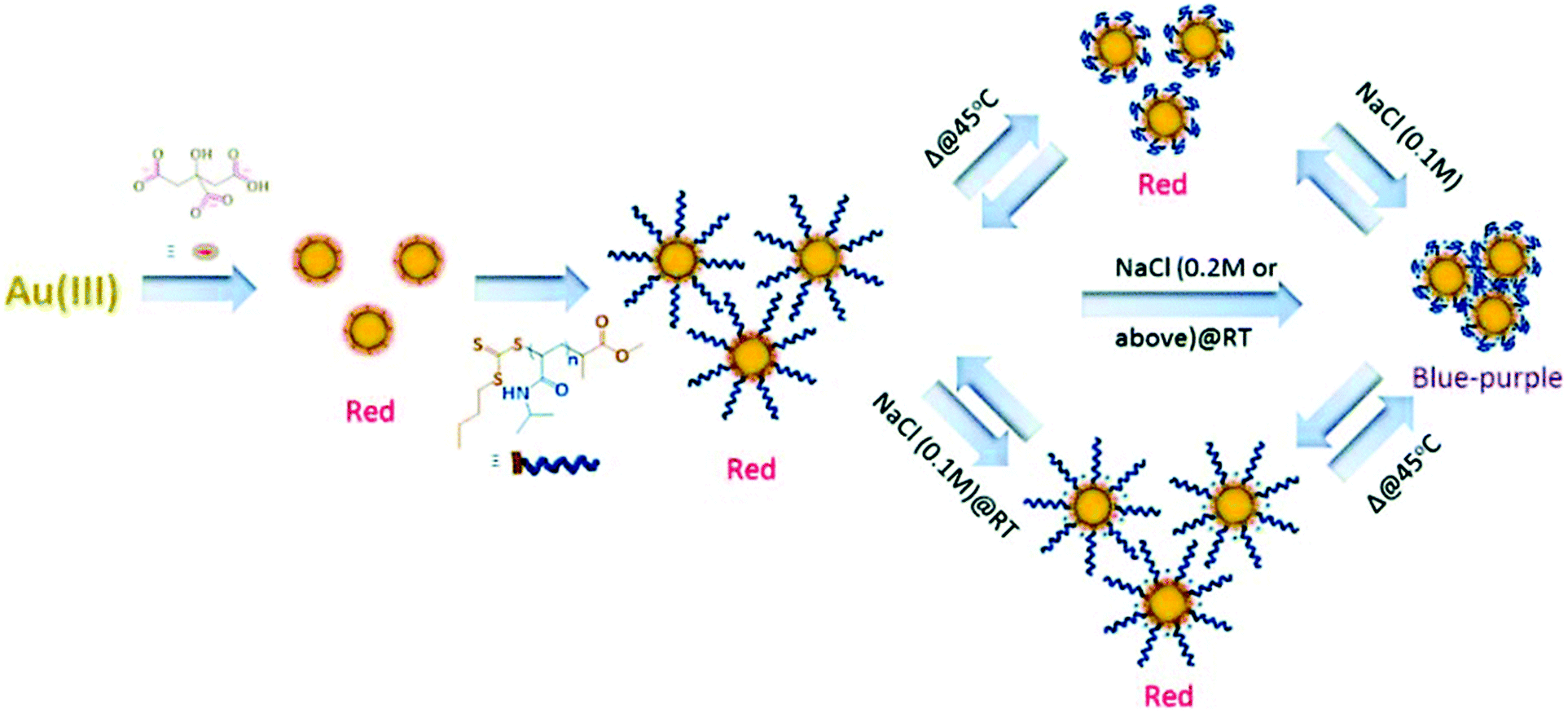 Stimuli-responsive polymers and their applications - Polymer Chemistry (RSC Publishing) DOI:10. ...