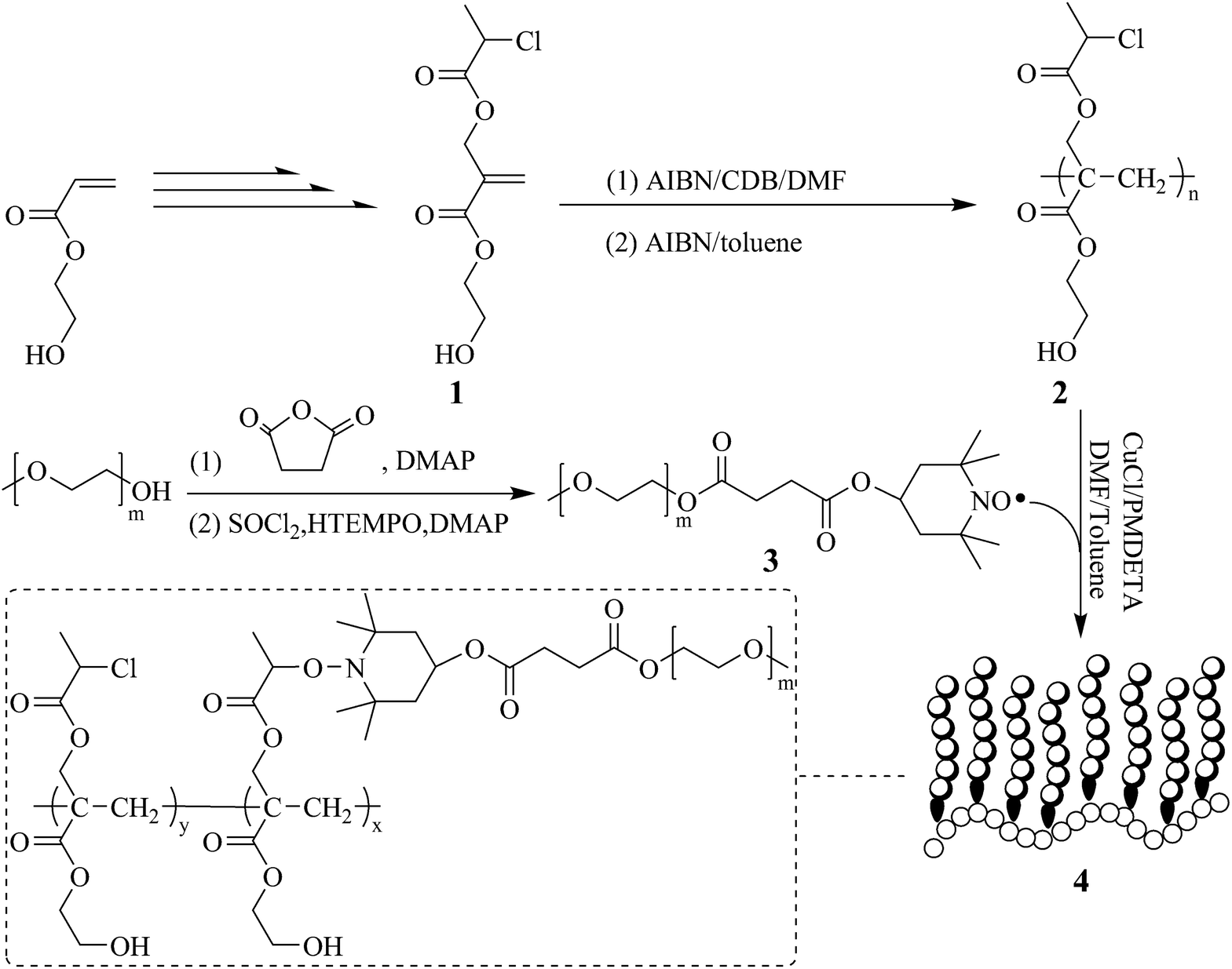 A PHEA- g -PEO well-defined graft copolymer exhibiting the synchronous encapsulation of both ...