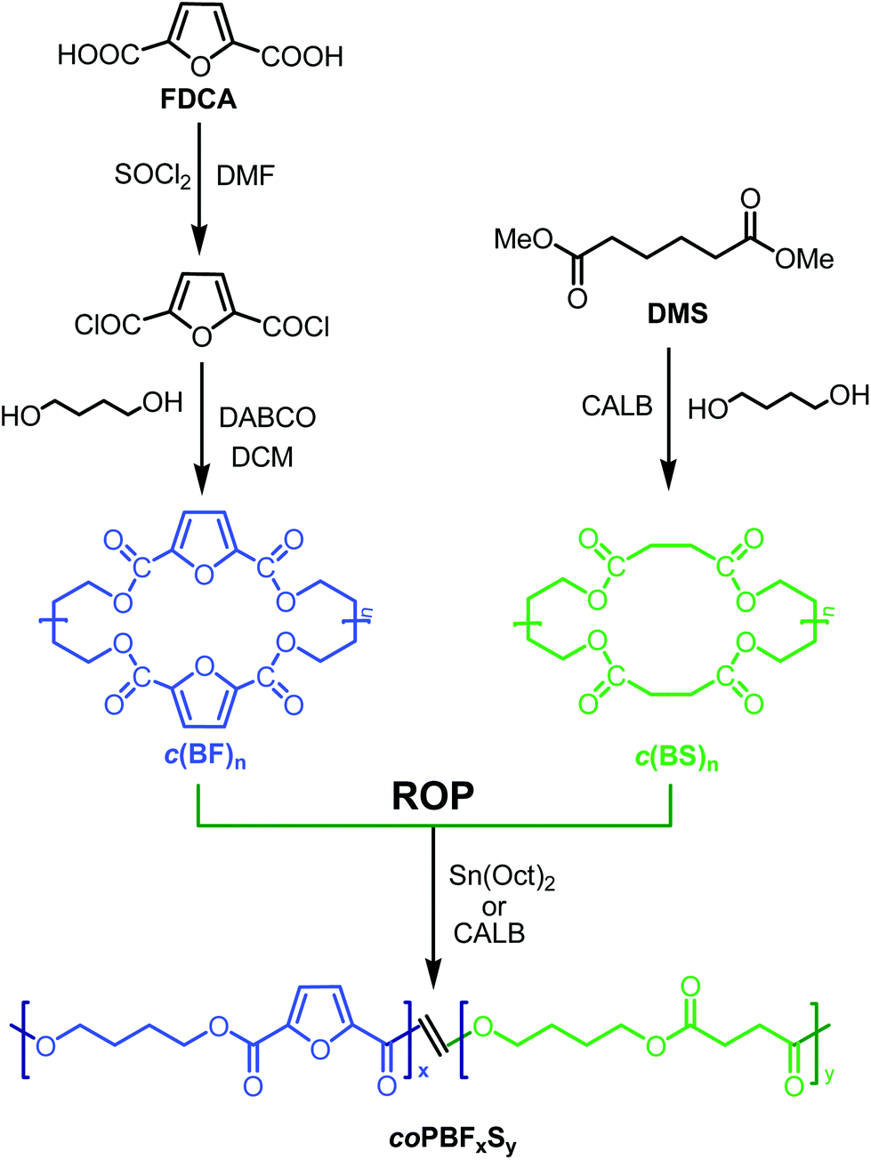 Fully bio-based aromatic–aliphatic copolyesters: poly(butylene ...