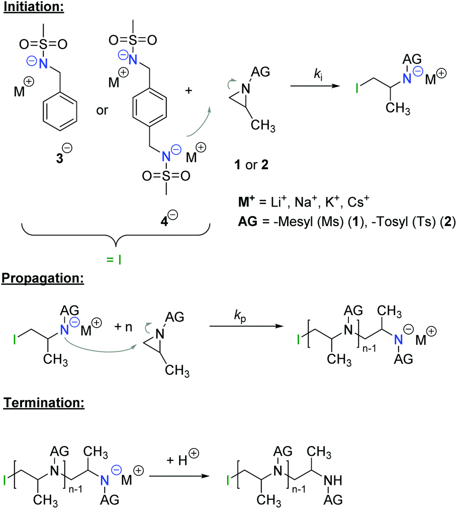 The living anionic polymerization of activated aziridines: a systematic ...