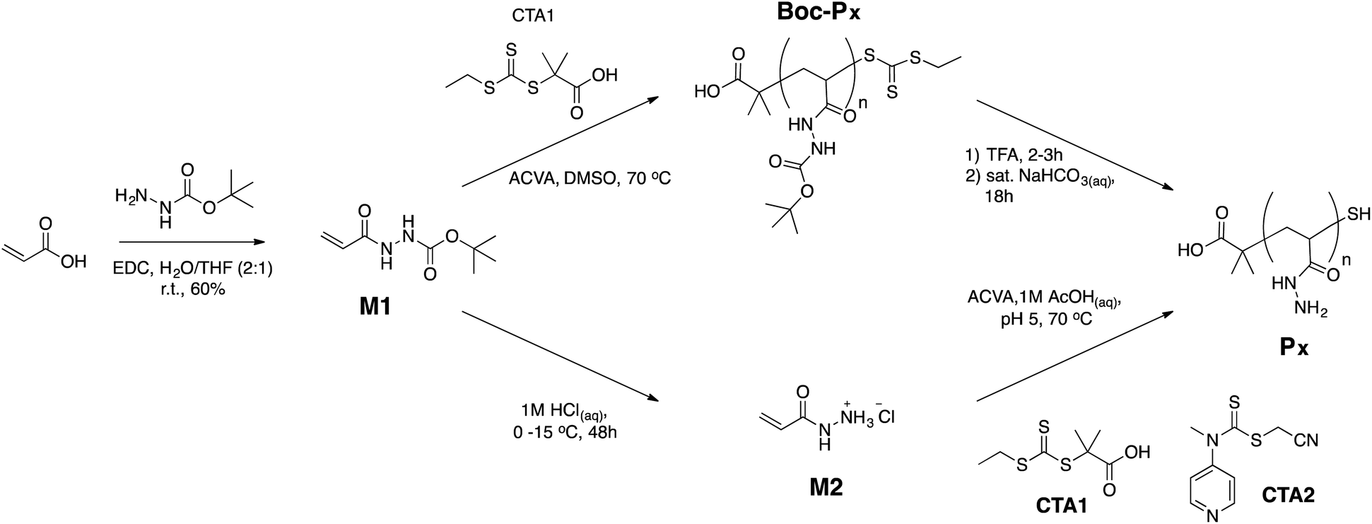 Poly(acryloyl hydrazide), a versatile scaffold for the preparation of ...