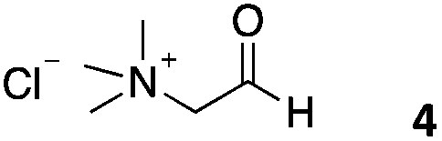 Poly(acryloyl hydrazide), a versatile scaffold for the preparation of ...