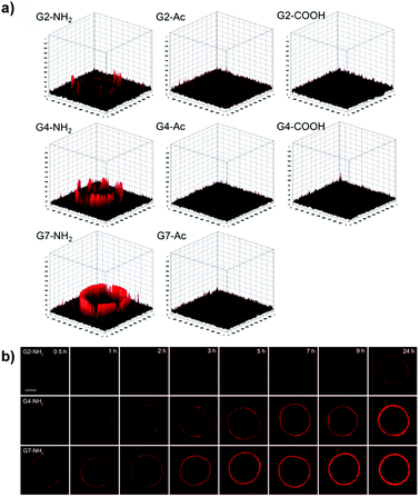 Multicellular tumor spheroids: a relevant 3D model for the in vitro ...