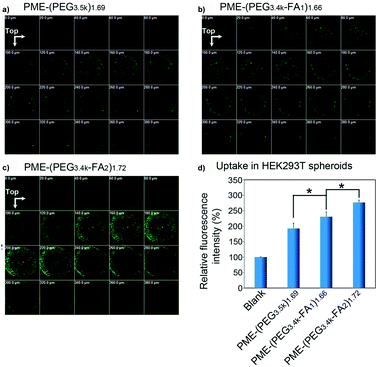 Multicellular tumor spheroids: a relevant 3D model for the in vitro ...