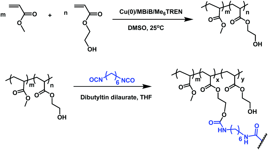 Advantages and limitations of diisocyanates in intramolecular collapse ...
