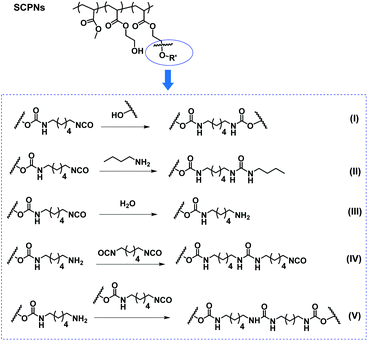 Advantages and limitations of diisocyanates in intramolecular collapse ...