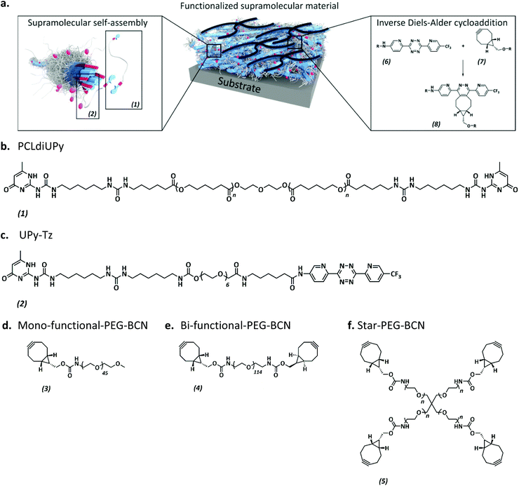 Introduction of anti-fouling coatings at the surface of supramolecular ...