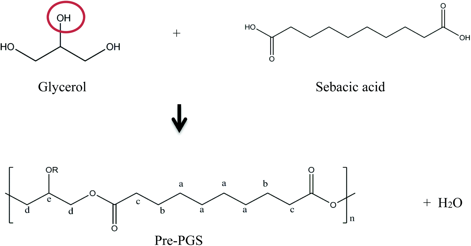 Tailoring degree of esterification and branching of poly(glycerol ...