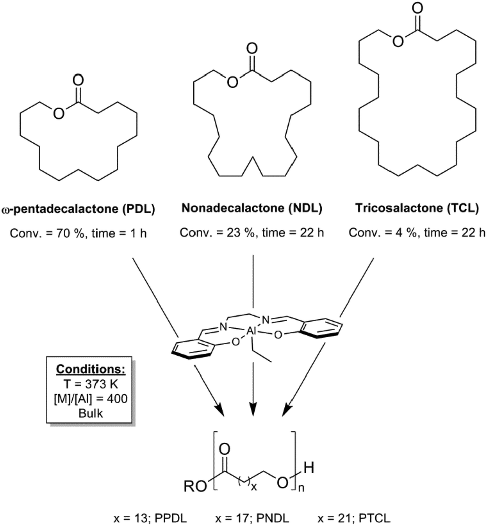 Ring opening polymerization of macrolactones: high conversions and ...