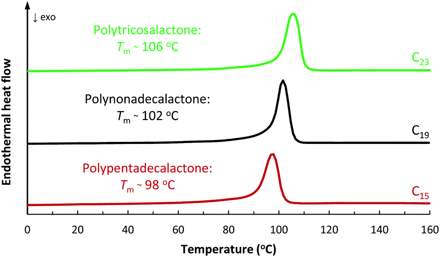 Ring opening polymerization of macrolactones: high conversions and ...
