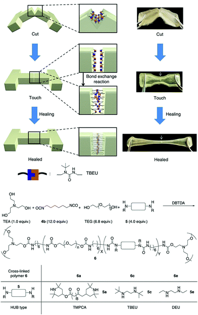 Stimuli responsive self-healing polymers: gels, elastomers and ...