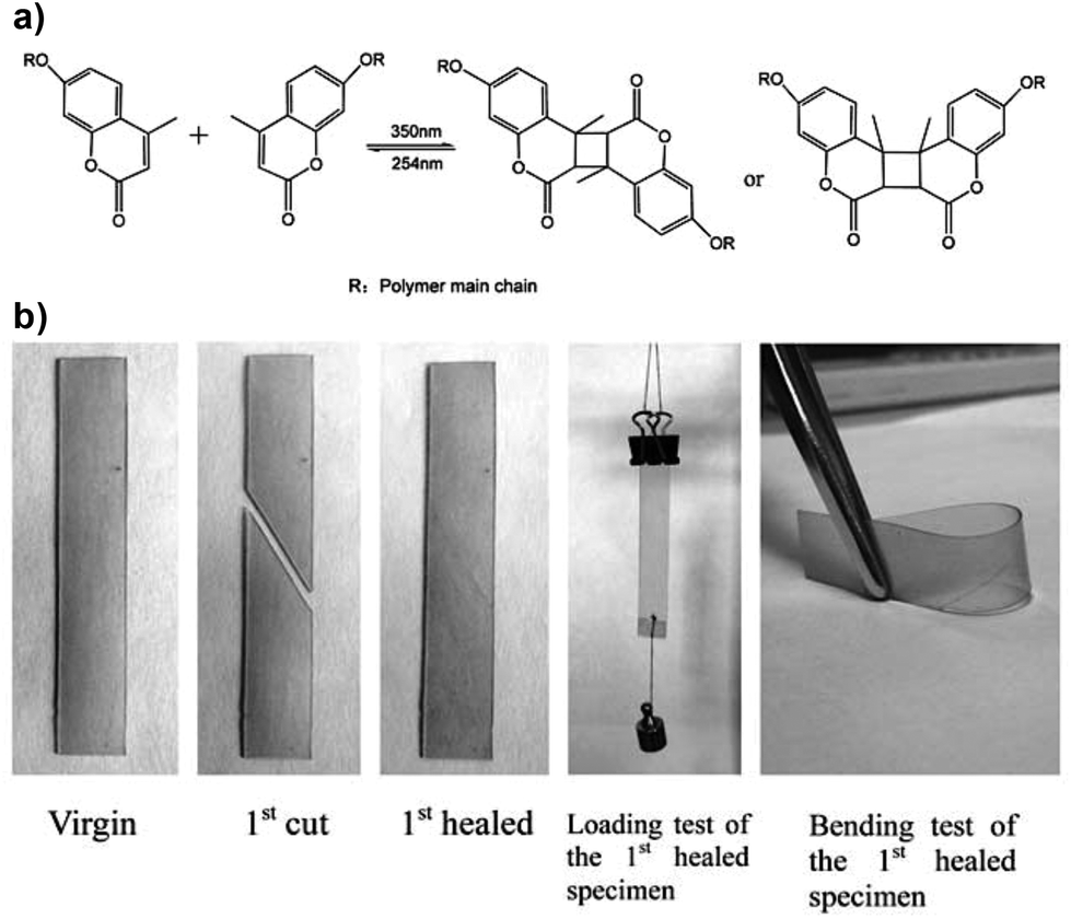 Stimuli responsive self-healing polymers: gels, elastomers and ...