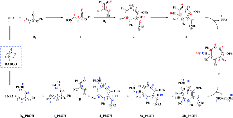 Mechanisms and stereoselectivities of the DABCO -catalyzed Rauhut ...