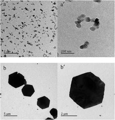 Revealing the three-dimensional filler structure in a rubber matrix ...