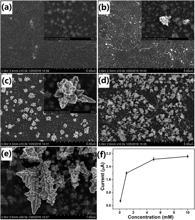 Controlled synthesis of dendritic gold nanostructures by graphene oxide ...