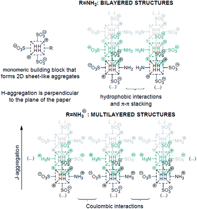 Hyperporphyrin effects extended into a J-aggregate supramolecular ...