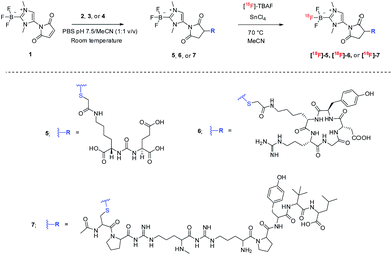 Preparation of [ 18 F]-NHC-BF 3 conjugates and their applications in ...