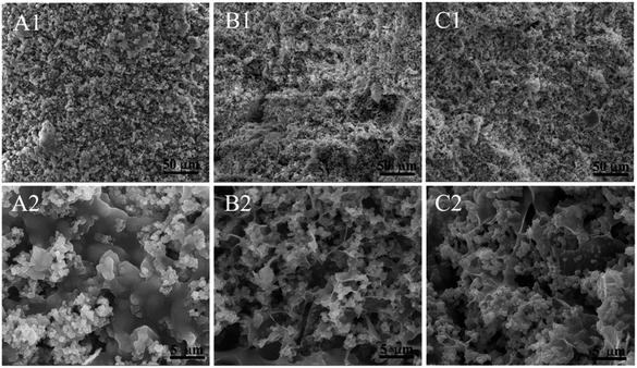 Preparation of in situ forming and injectable alginate/mesoporous Sr ...