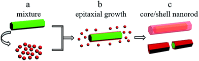 Hexagonal β-Na(Y,Yb)F 4 based core/shell nanorods: epitaxial growth ...