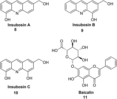Recent developments in the synthesis and biological activity of ...