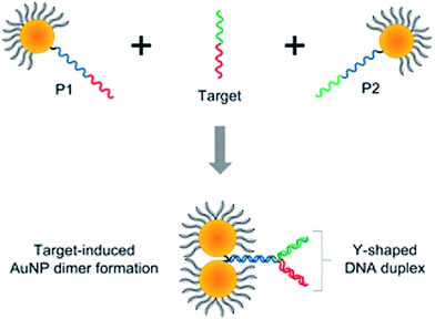 Plasmonic nanoparticles in chemical analysis - RSC Advances (RSC ...
