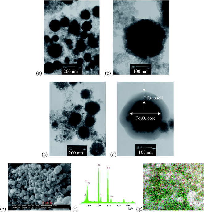 Synthesis of magnetic core–shell Fe 3 O 4 @TiO 2 nanoparticles from ...