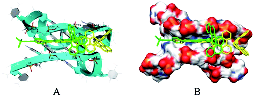 A Ruthenium( ii ) complex as a potential luminescent switch-on probe for G-quadruplex DNA - RSC ...