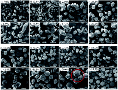 Agitating transformation during vinyl chloride suspension ...
