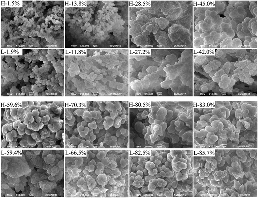 Agitating transformation during vinyl chloride suspension ...