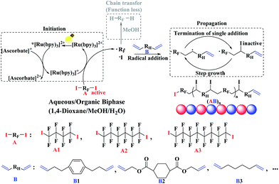 The positive effect of water on photo-induced step transfer-addition ...