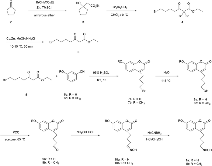 The synthesis of two long-chain N -hydroxy amino coumarin compounds and ...