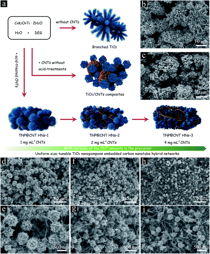 Multi-walled carbon nanotubes induced a controllable TiO 2 morphology ...
