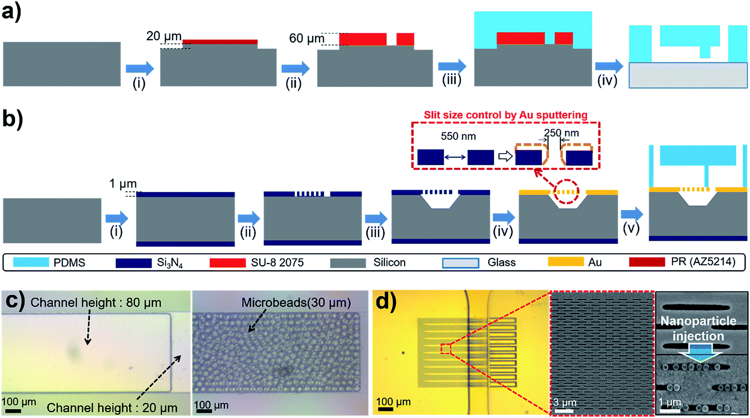 Nanoslit-concentration-chip integrated microbead-based protein assay ...