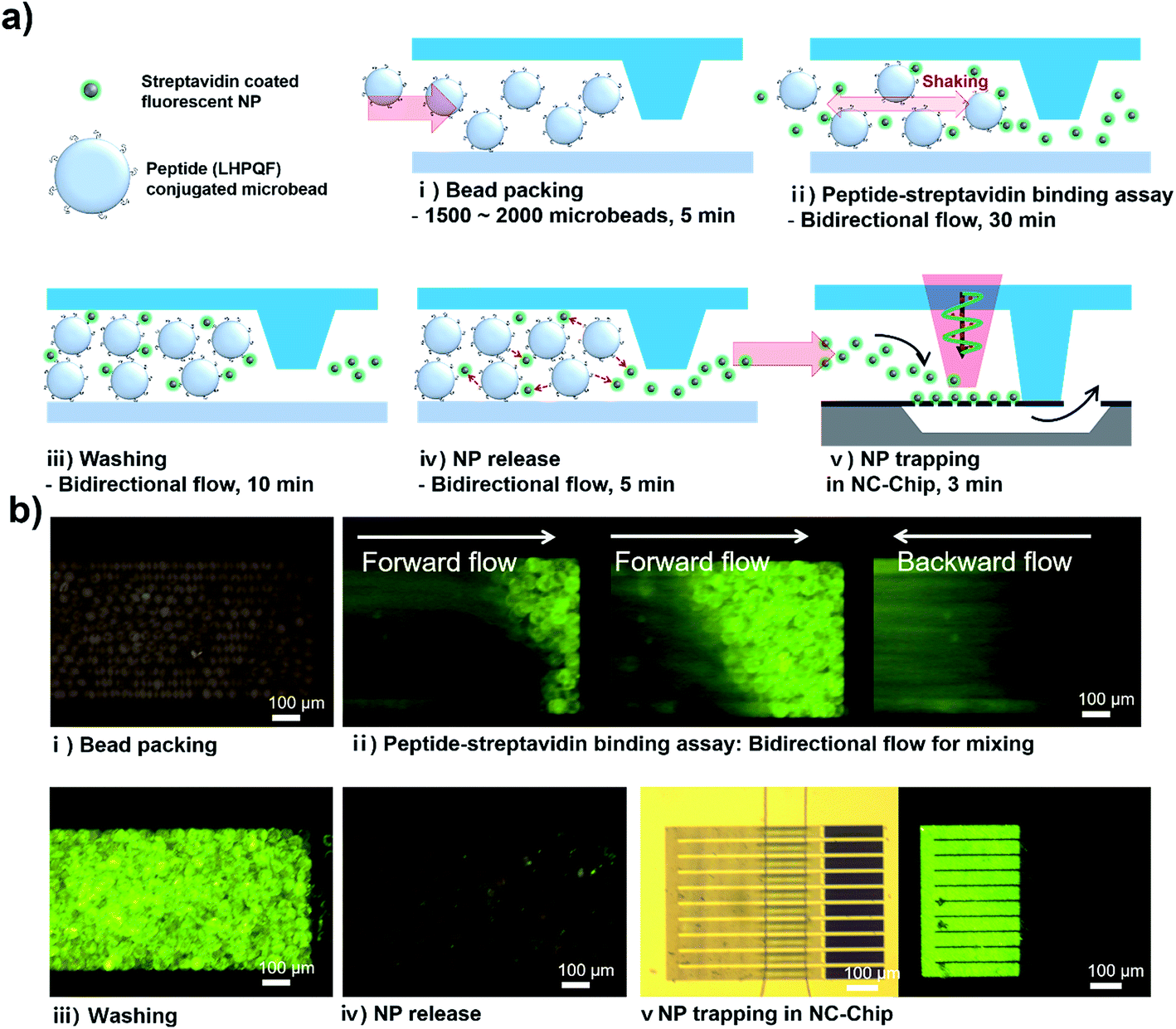 Nanoslit-concentration-chip integrated microbead-based protein assay ...
