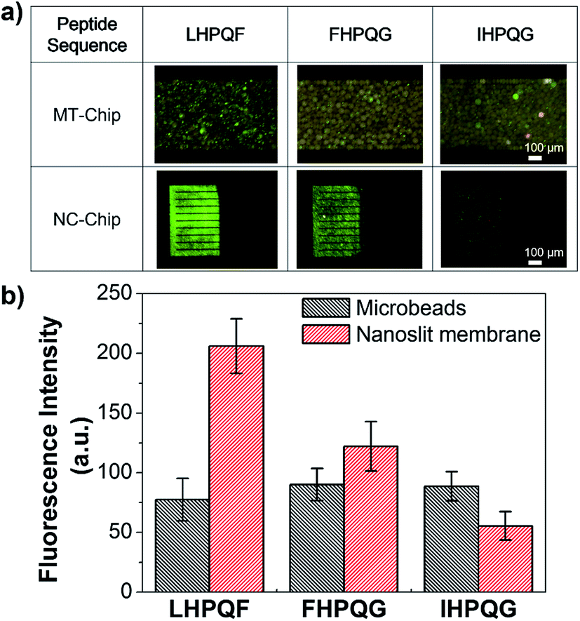 Nanoslit-concentration-chip integrated microbead-based protein assay ...
