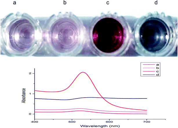 Wash-free colorimetric homogeneous immunoassay for Zygosaccharomyces ...