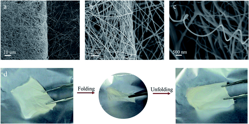 A high-performance TiO 2 nanowire UV detector assembled by ...
